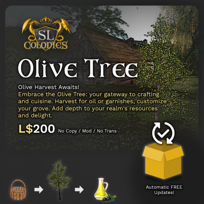 Olive Tree | SL Colonies